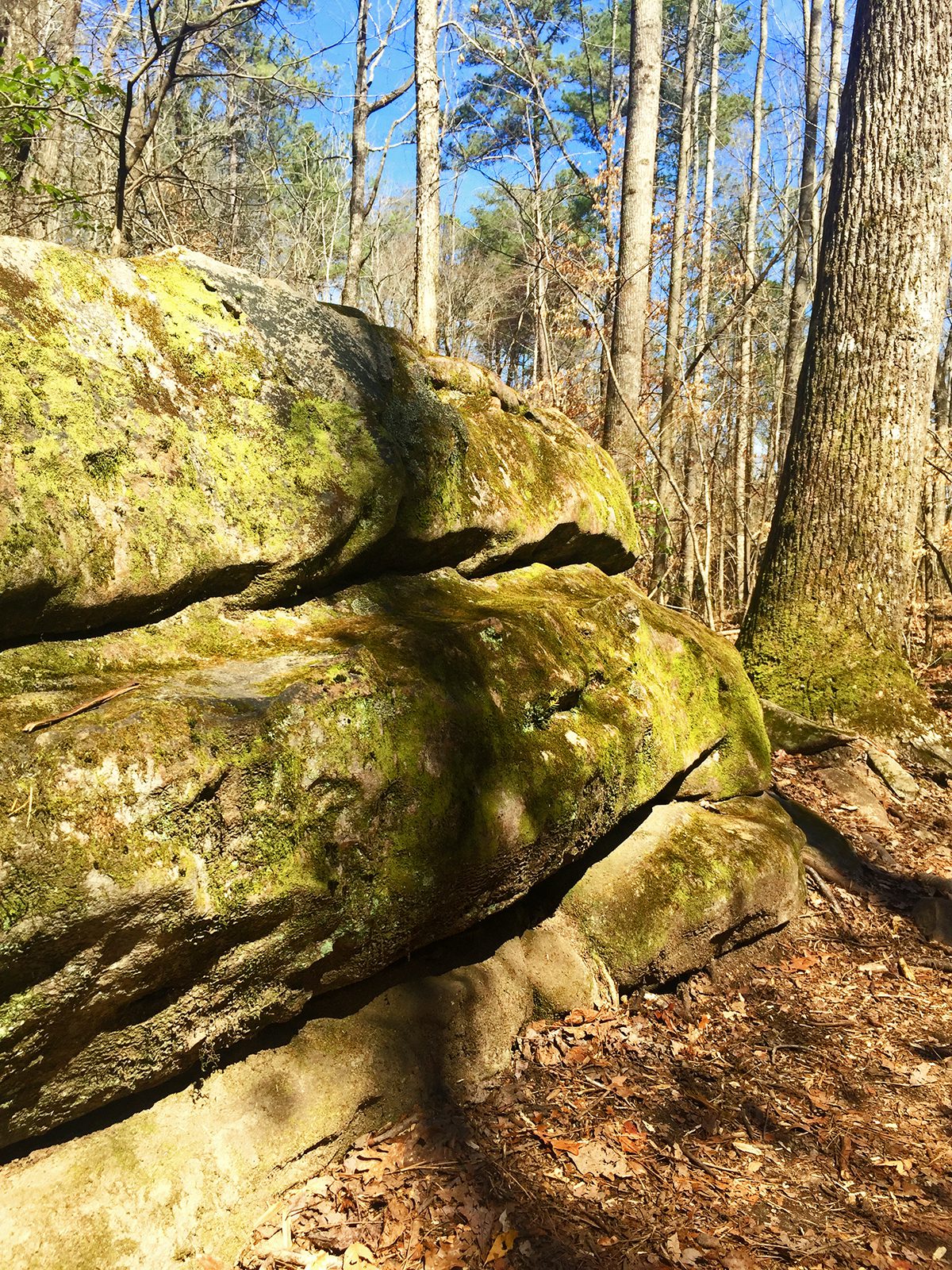 Take A Walk At Moss Rock Preserve - Redhotwritinghood